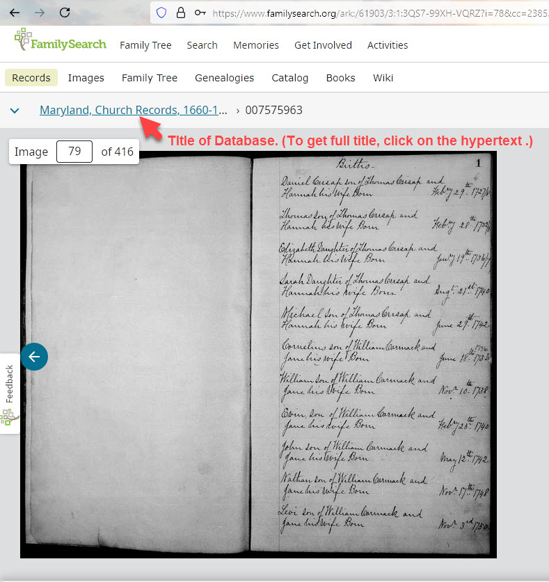 Help with formulation a Birth Source Citation | Evidence Explained